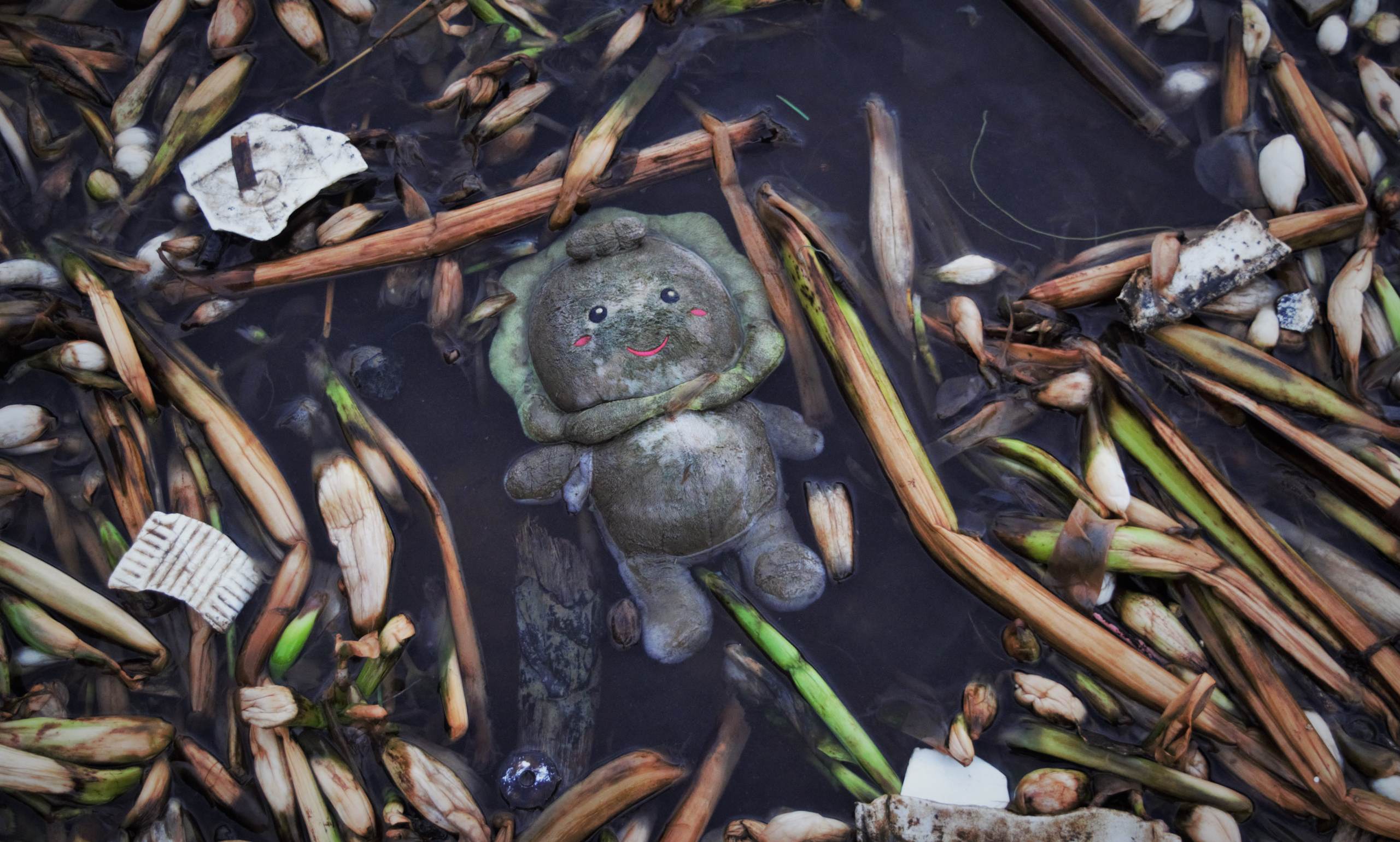 Marine Litter - Marine Conservation Cambodia Marine Litter - Marine Conservation Cambodia
